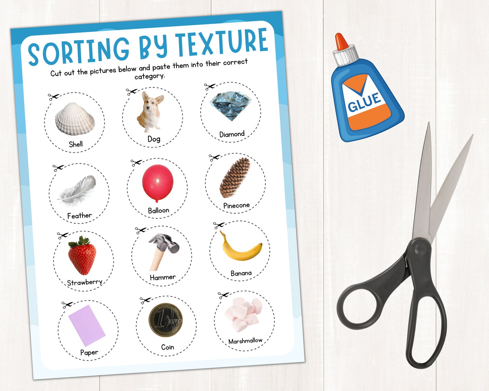 Sorting by Texture | Soft, Hard, Rough, and Smooth | Texture Sorting ...
