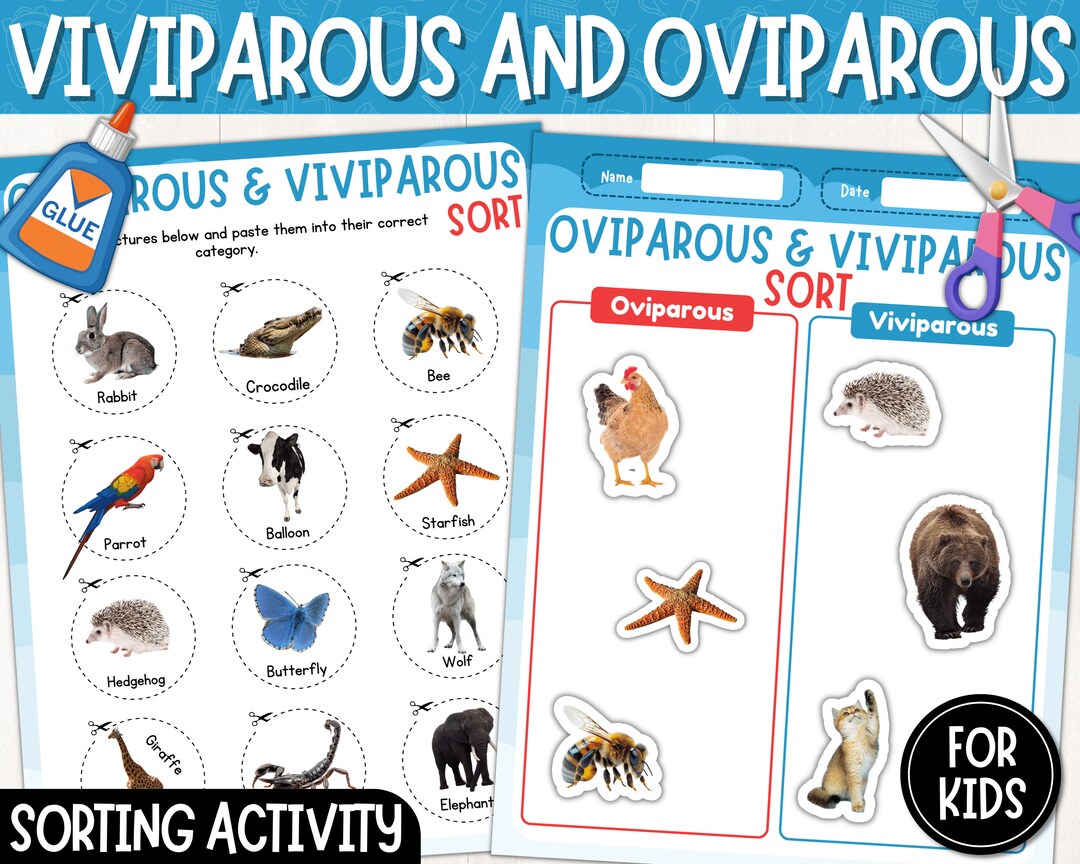 Oviparous and Viviparous Animal Sorting Activity | Real Pictures | Cut ...
