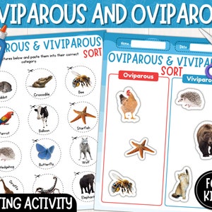Oviparous and Viviparous Animal Sorting Activity | Real Pictures | Cut ...