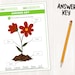 Parts of a Plant Science Activities Printable Plant Labeling Worksheets ...