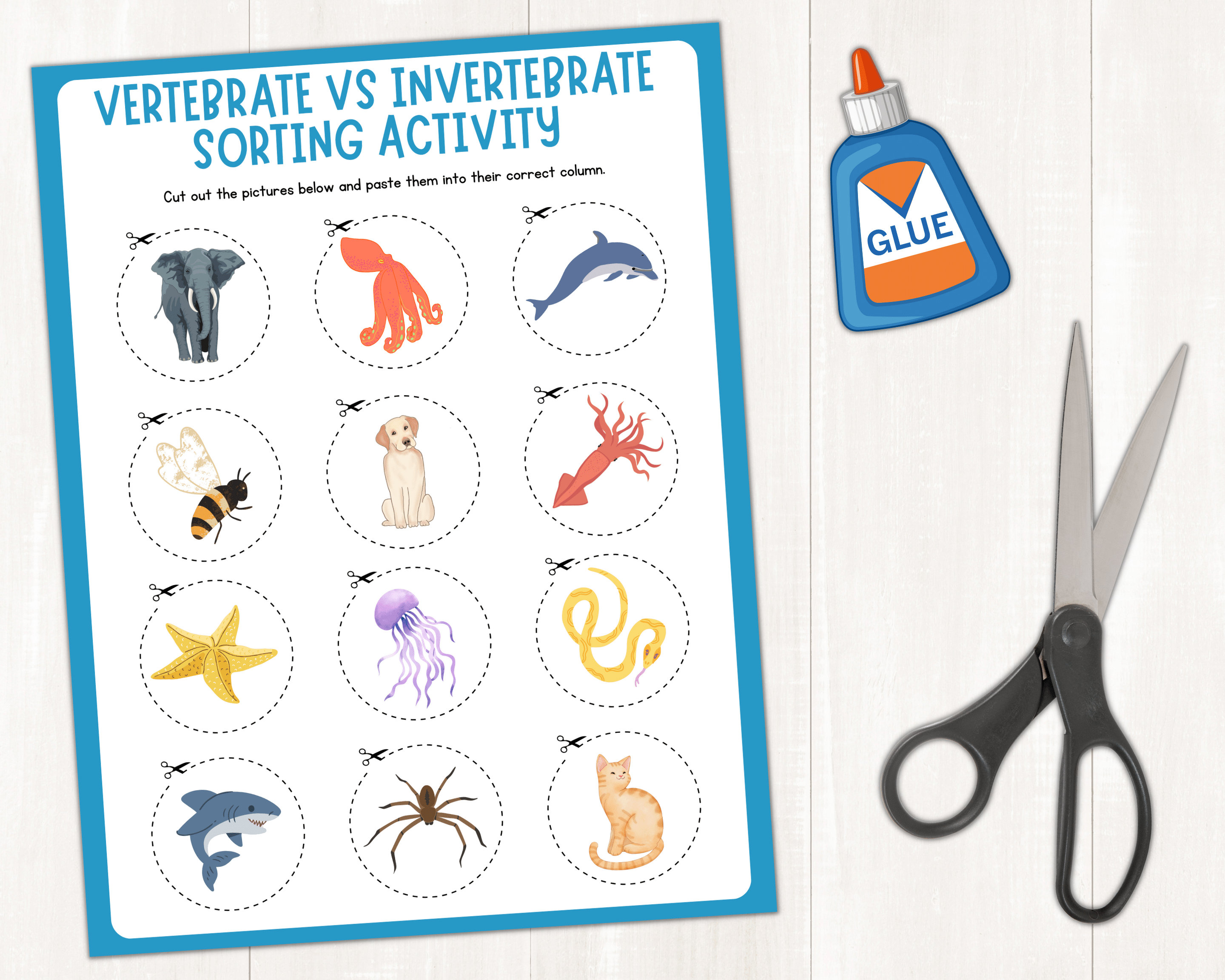 Vertebrates and Invertebrates Sorting Activity | Animal Classification ...