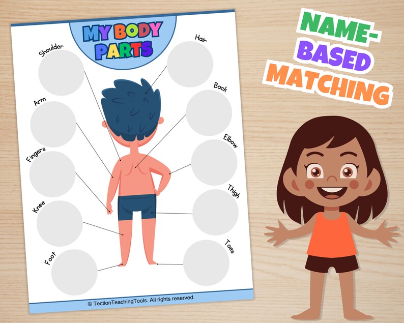 Body Parts Matching Activity | Preschool Activity | Parts of the Body ...