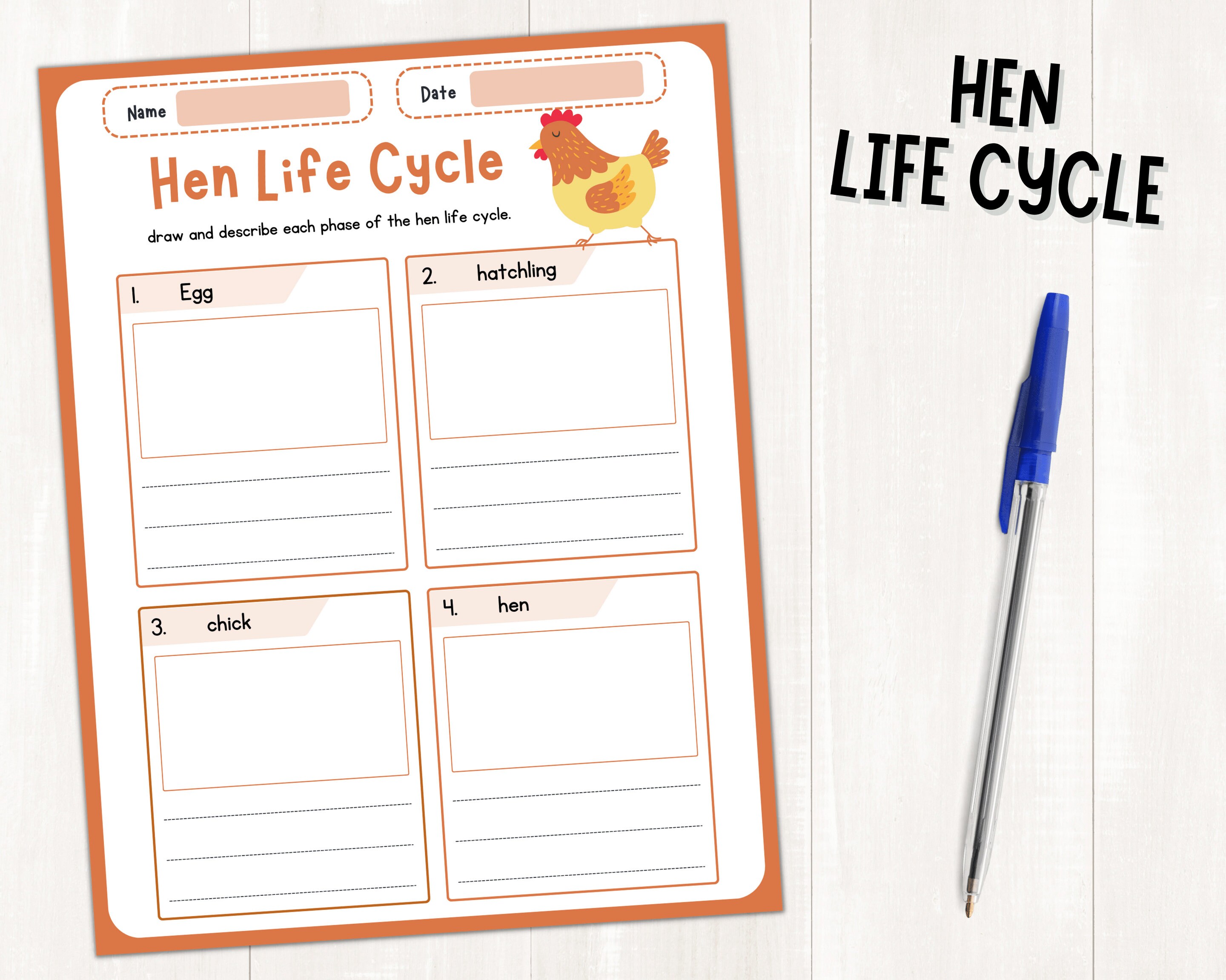 Printable Animal Life Cycle Research Project Templates, Animal Research ...