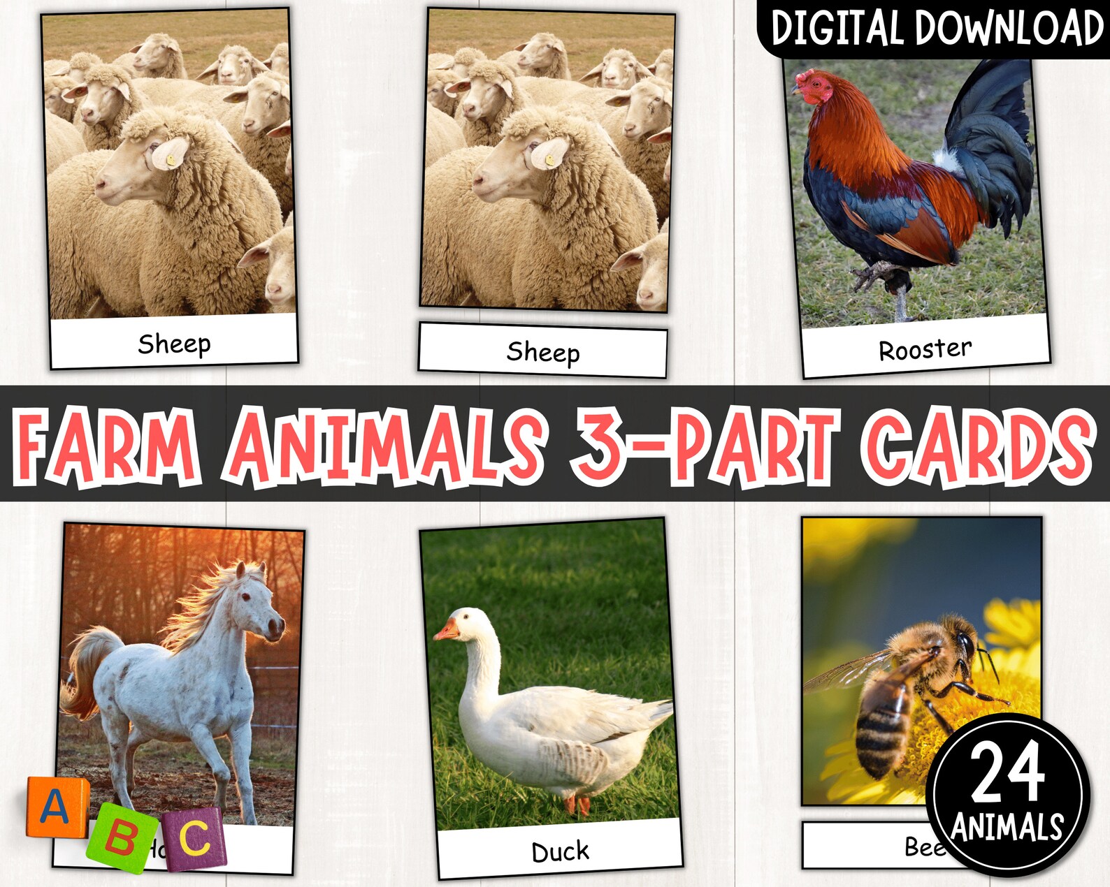 Farm Animals Montessori 3-part Cards | Farm Animal Flashcards With Real ...