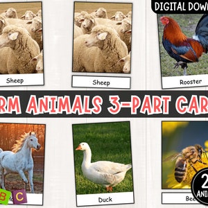 Farm Animals Montessori 3-part Cards | Farm Animal Flashcards With Real ...