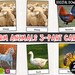 Farm Animals Montessori 3-part Cards | Farm Animal Flashcards With Real ...