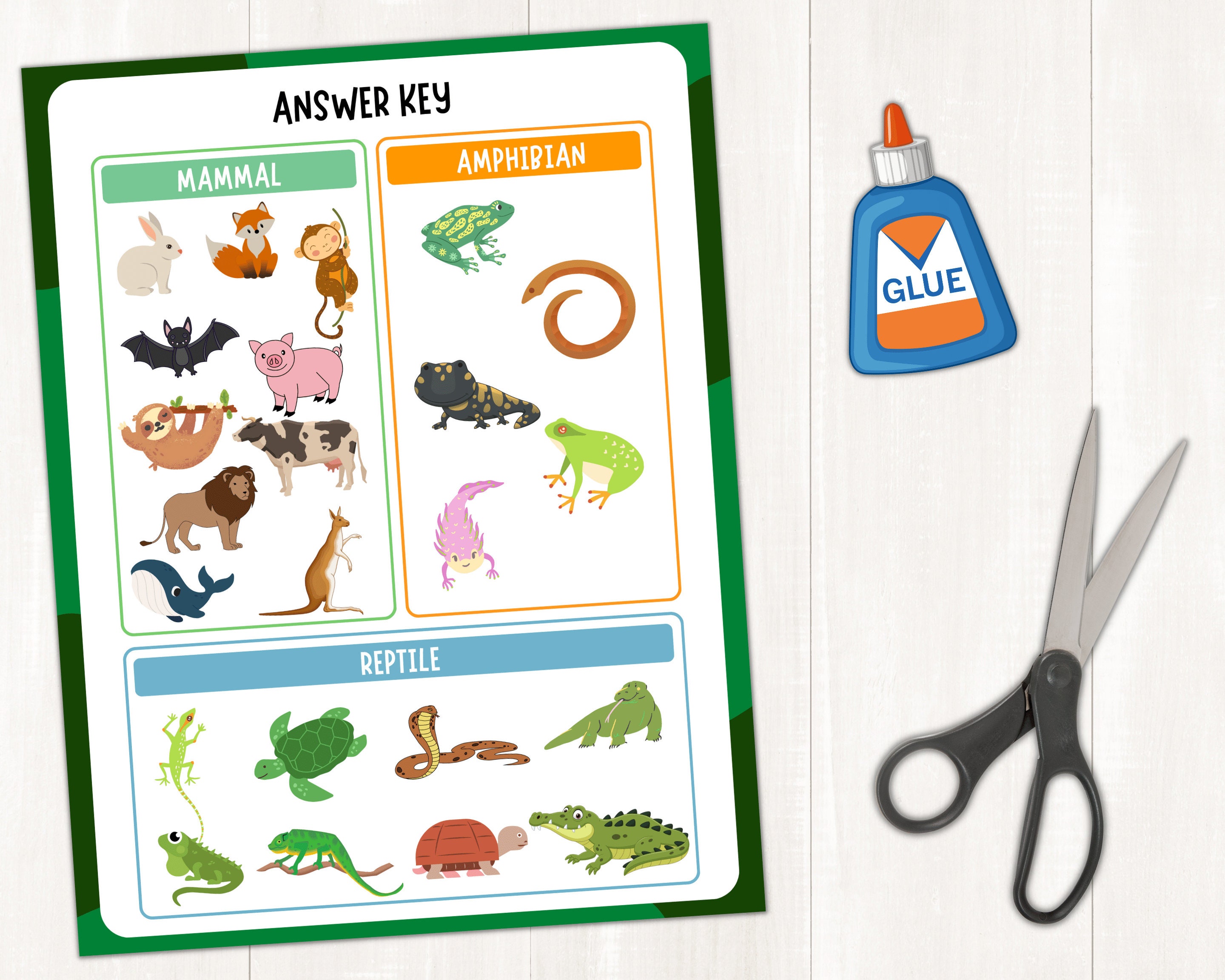 Animal Classification Sort: Mammals, Reptiles, and Amphibians | Sort ...