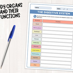 Digestive System Worksheets, Parts of the Digestive System, Digestive ...