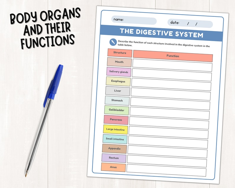 Digestive System Worksheets, Parts of the Digestive System, Digestive ...