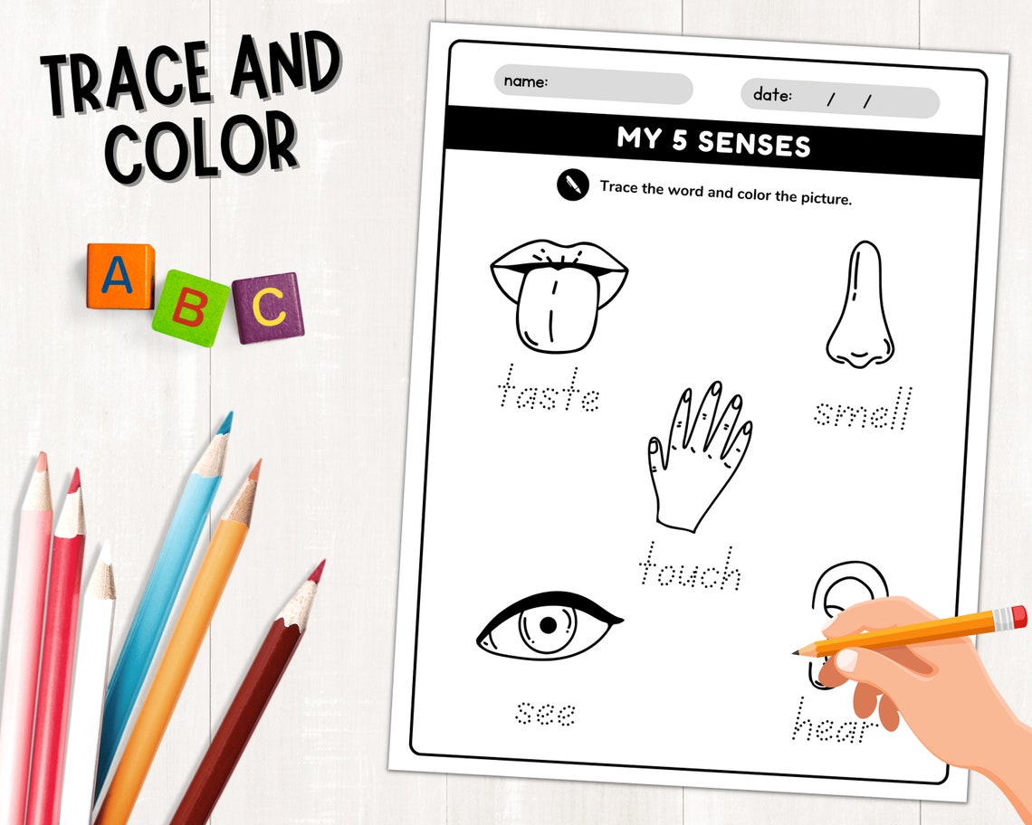 Printable Five Senses Worksheets for Preschool, Kindergarten Five ...
