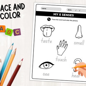 Printable Five Senses Worksheets for Preschool, Kindergarten Five Senses Activity Sheets, Five ...