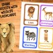 African Animals Printable Flashcards | African Animal Learning Cards ...