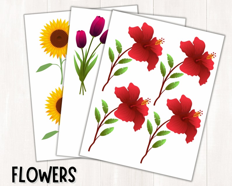 Flower Shop Dramatic Play Printables | Florist Pretend Play | Spring ...