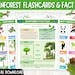 All About the Rainforest Habitat | the Rainforest Fact File ...