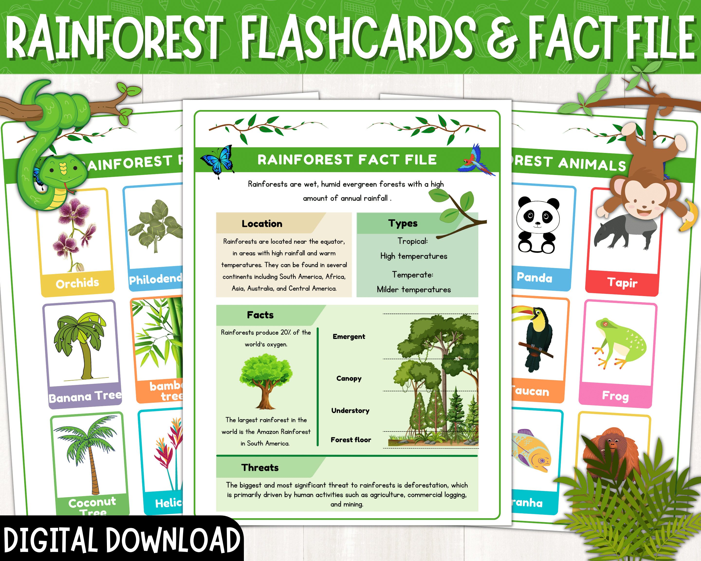 Rainforest Animals Flashcards at Angela Hagberg blog