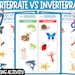 Vertebrates and Invertebrates Sorting Activity | Animal Classification ...