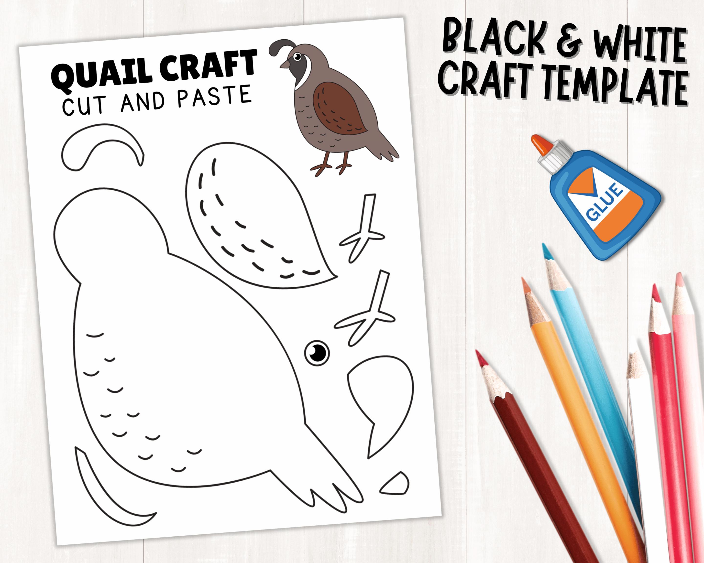 Printable Quail Craft Template | Build a Bird Craft | Color, Cut, and ...