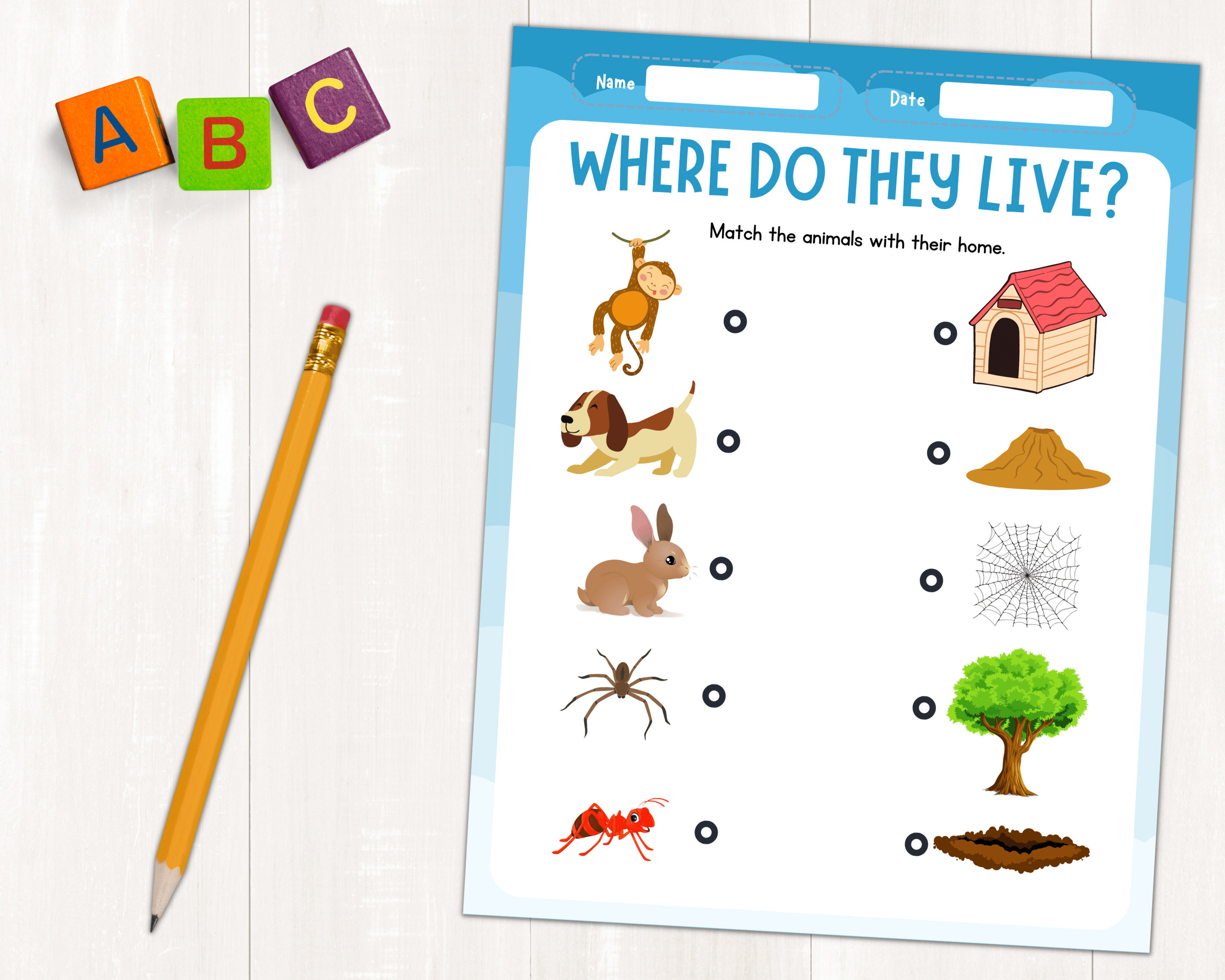 Animals and Their Homes Matching Activity, Animals Printable Worksheets ...