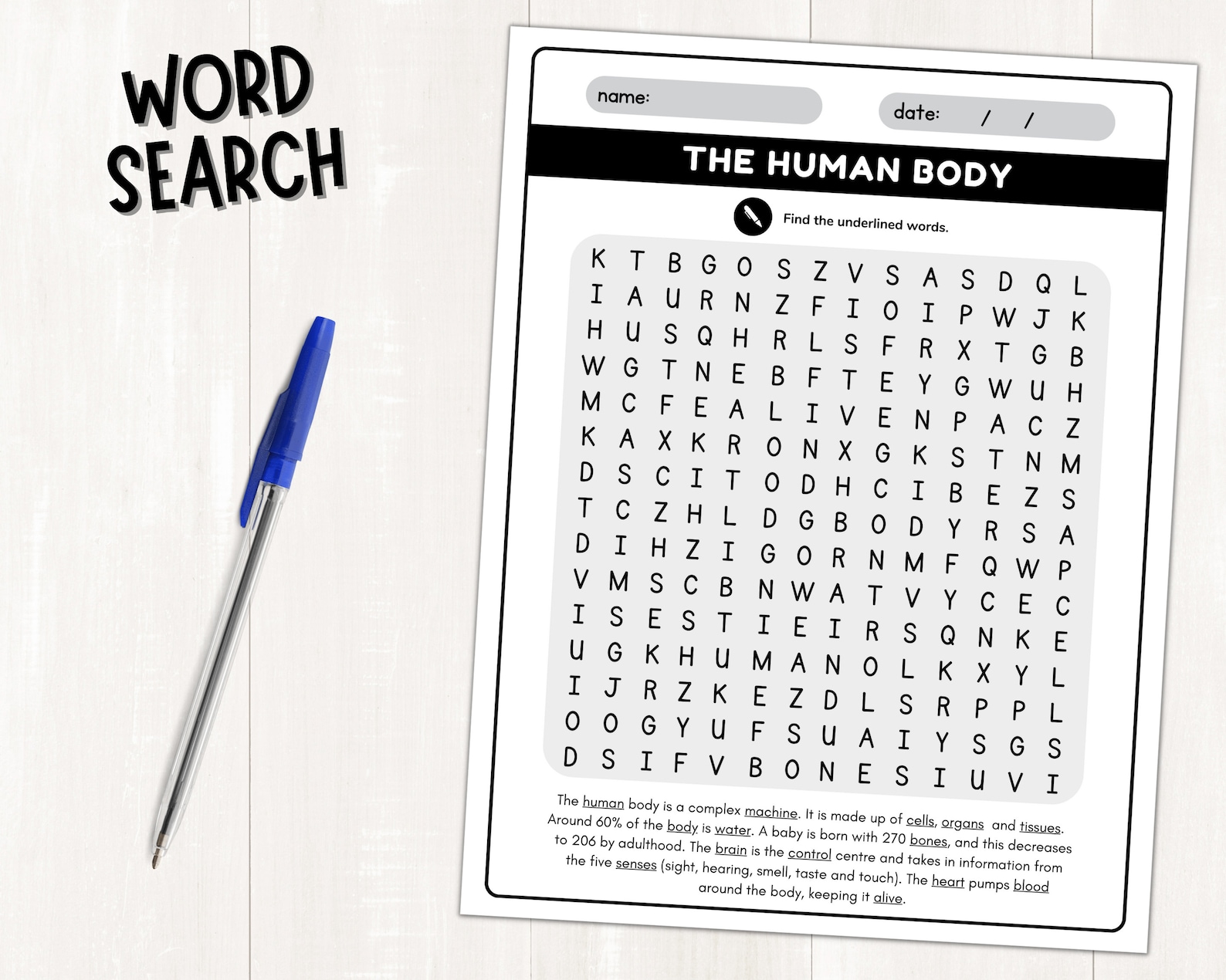 Human Brain Parts Labeling Worksheet | Anatomy of the Brain | Parts of ...