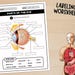 Human Eye Parts Labeling Worksheet | Anatomy of the Eye | Parts of the ...