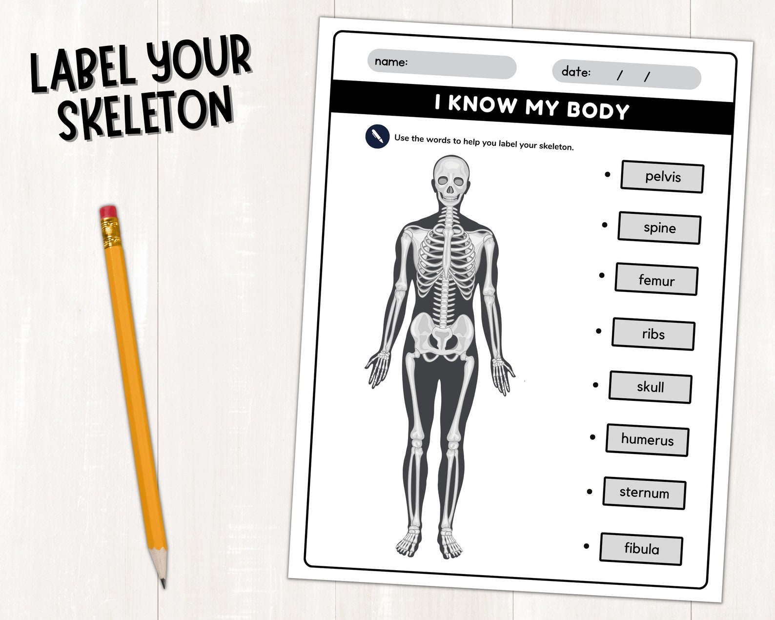 Printable Human Skeleton Labelling Worksheets | Label the Bones ...