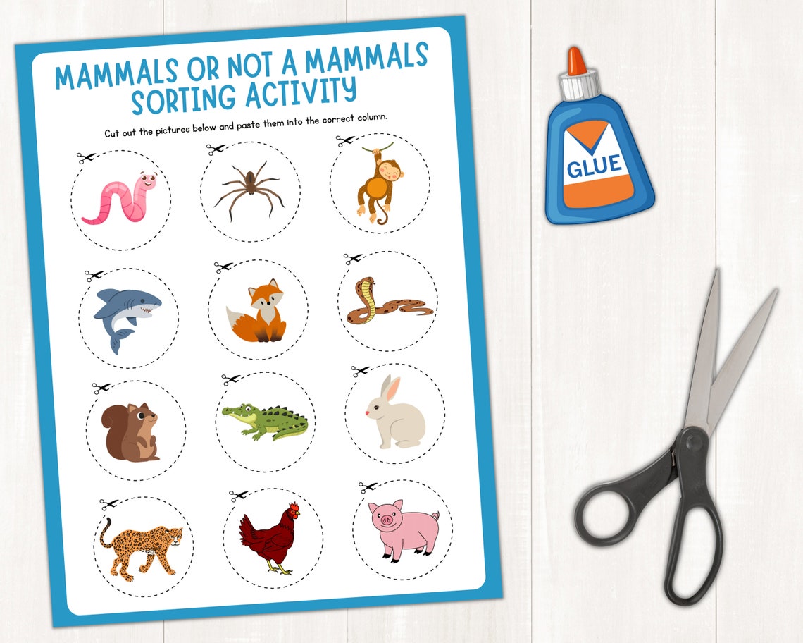 Mammal Vs. Not a Mammal Picture Sort Animals Sorting Activity Animal ...