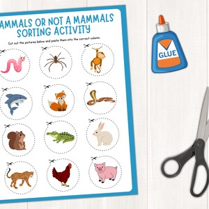 Mammal Vs. Not a Mammal Picture Sort | Animals Sorting Activity ...