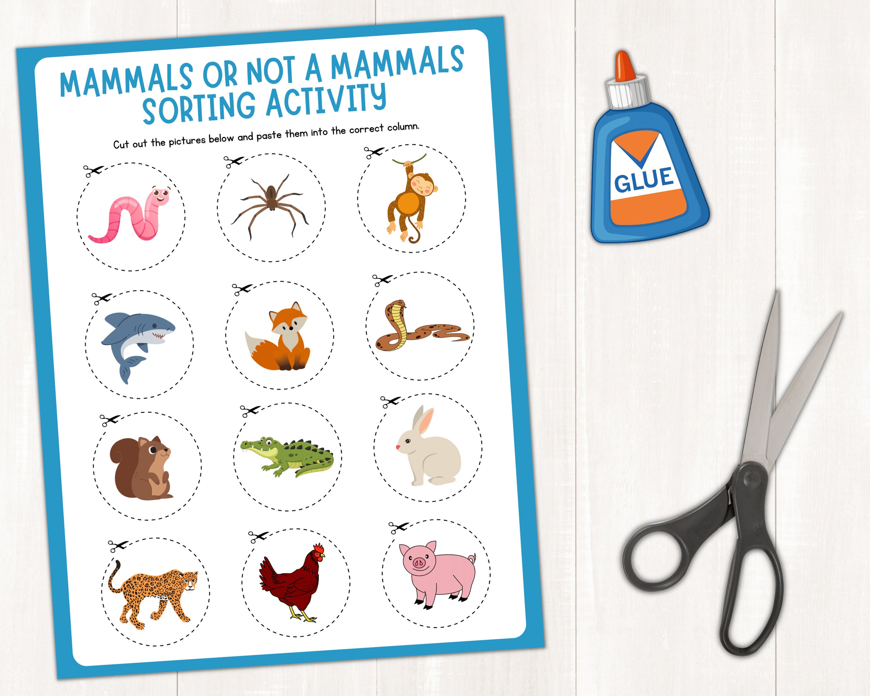 Mammal Vs. Not a Mammal Picture Sort | Animals Sorting Activity ...