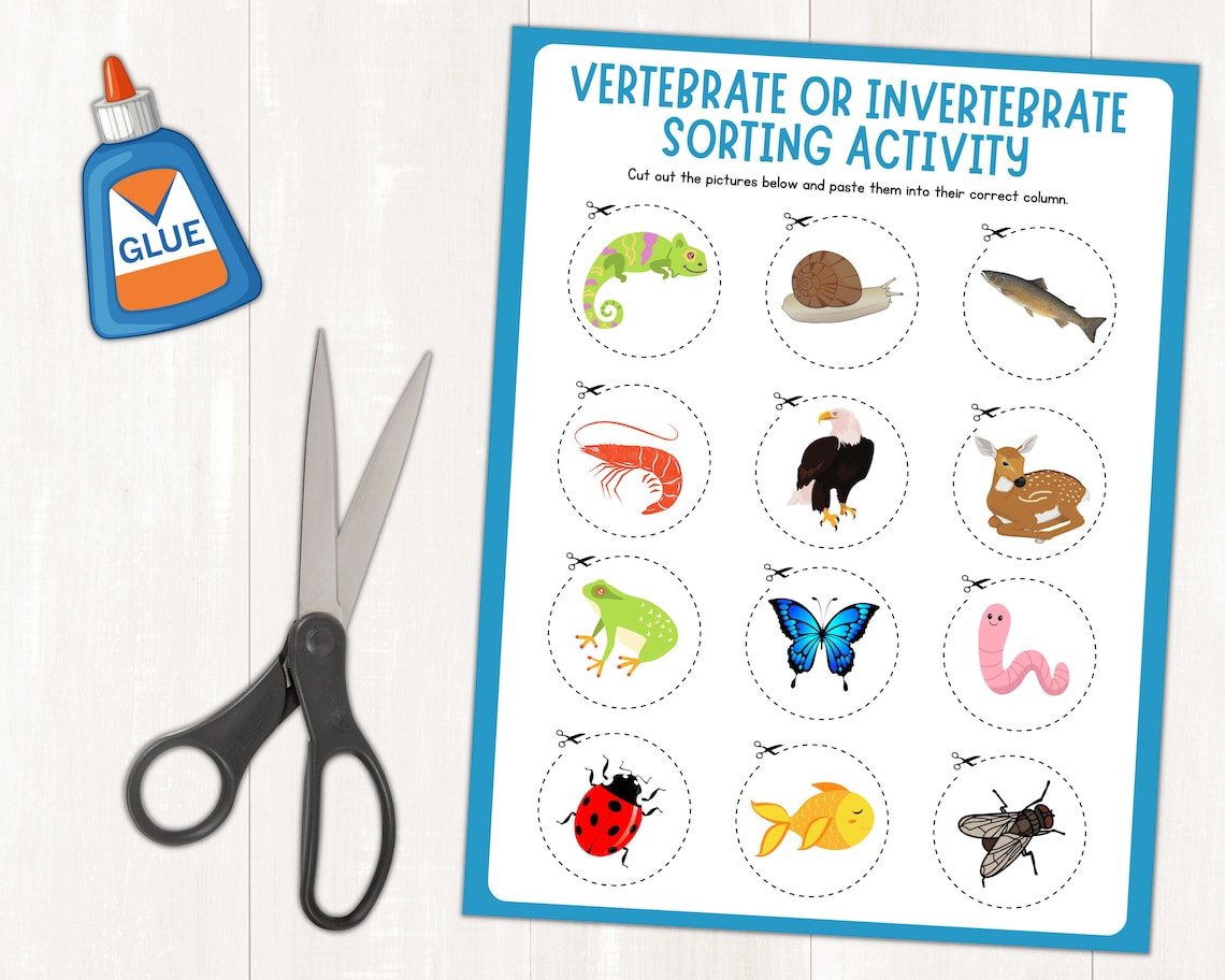 Vertebrates and Invertebrates Sorting Activity | Animal Classification ...