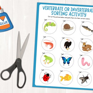 Vertebrates and Invertebrates Sorting Activity | Animal Classification ...