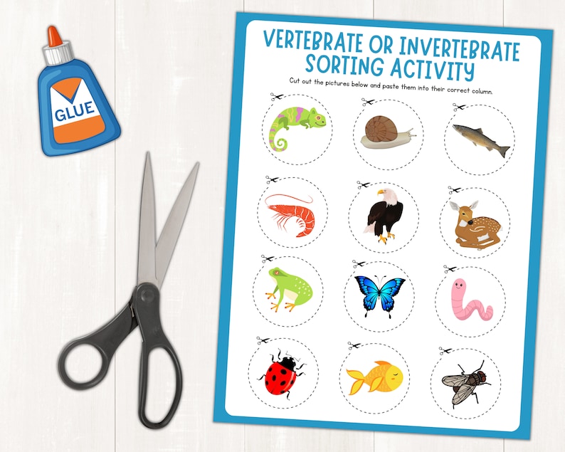 Vertebrates and Invertebrates Sorting Activity Animal Classification ...