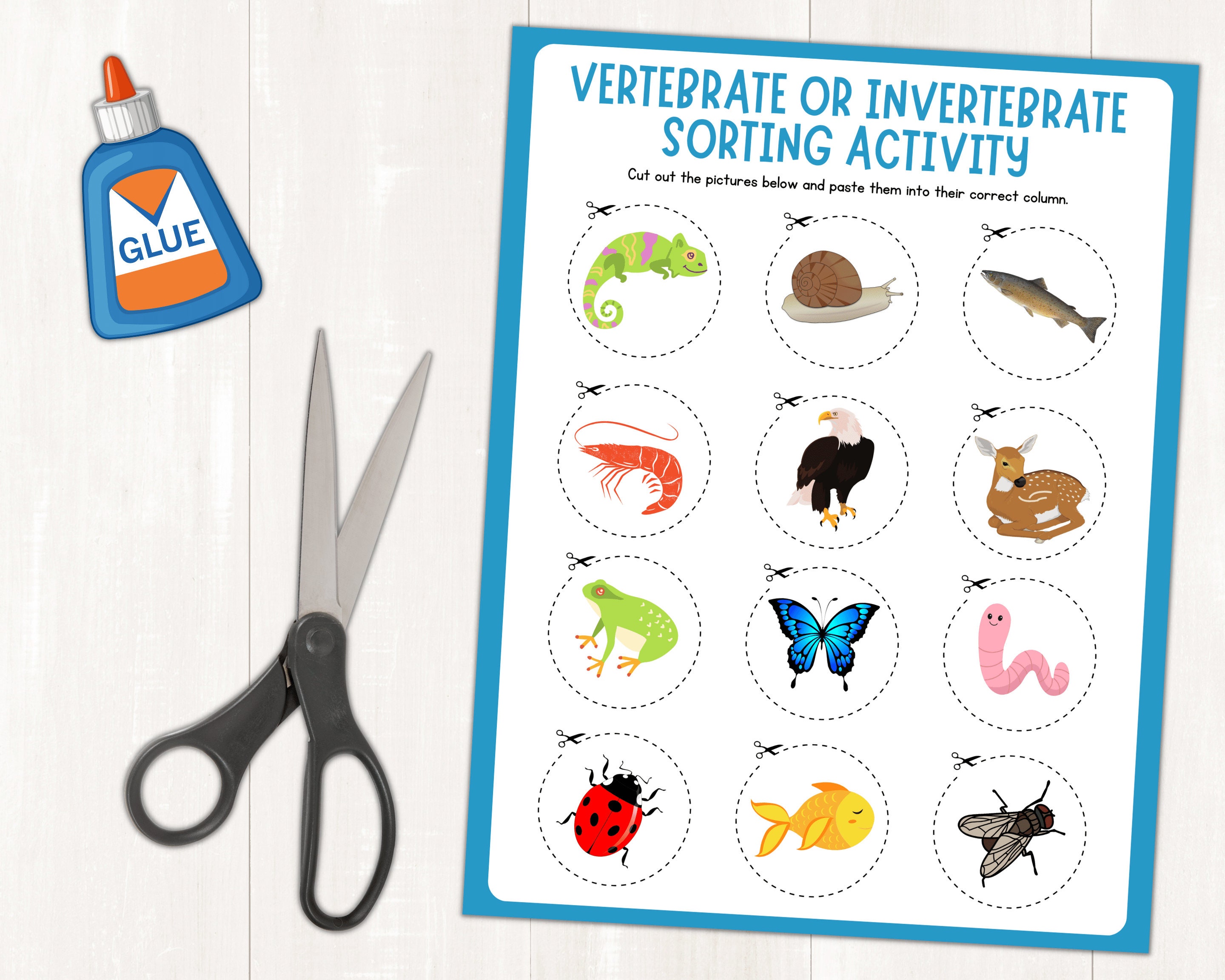 Vertebrates and Invertebrates Sorting Activity | Animal Classification ...