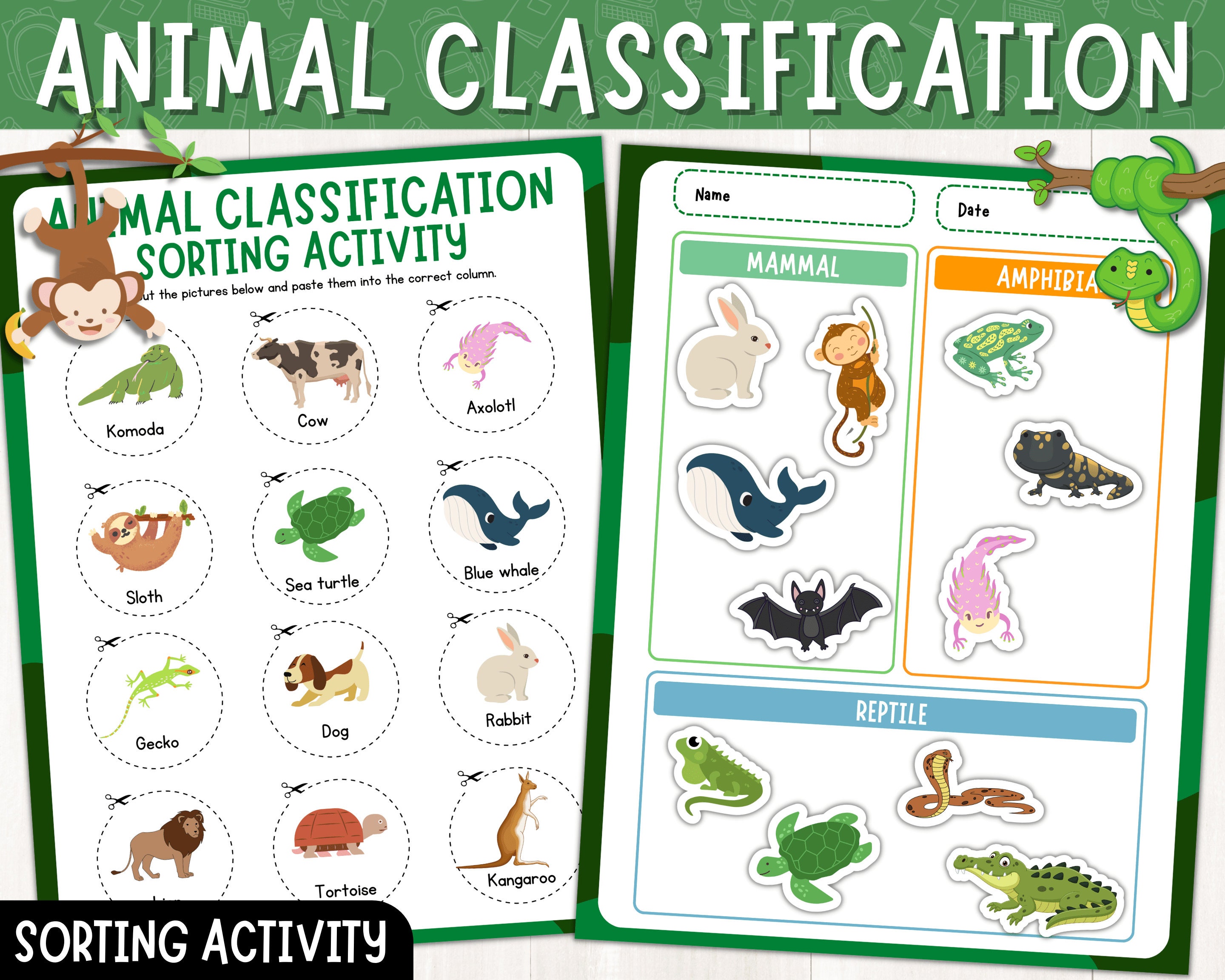 Animal Classification Sort: Mammals, Reptiles, and Amphibians | Sort ...
