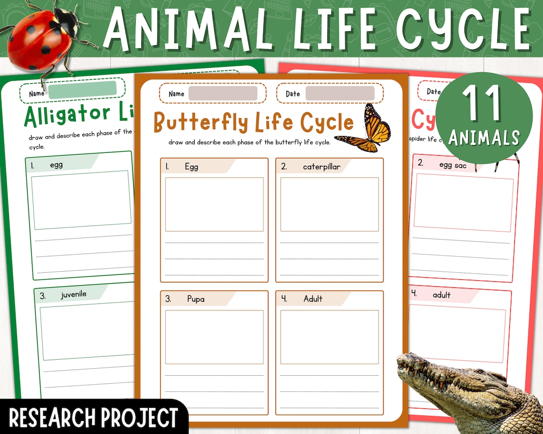 Printable Animal Life Cycle Research Project Templates, Animal Research ...