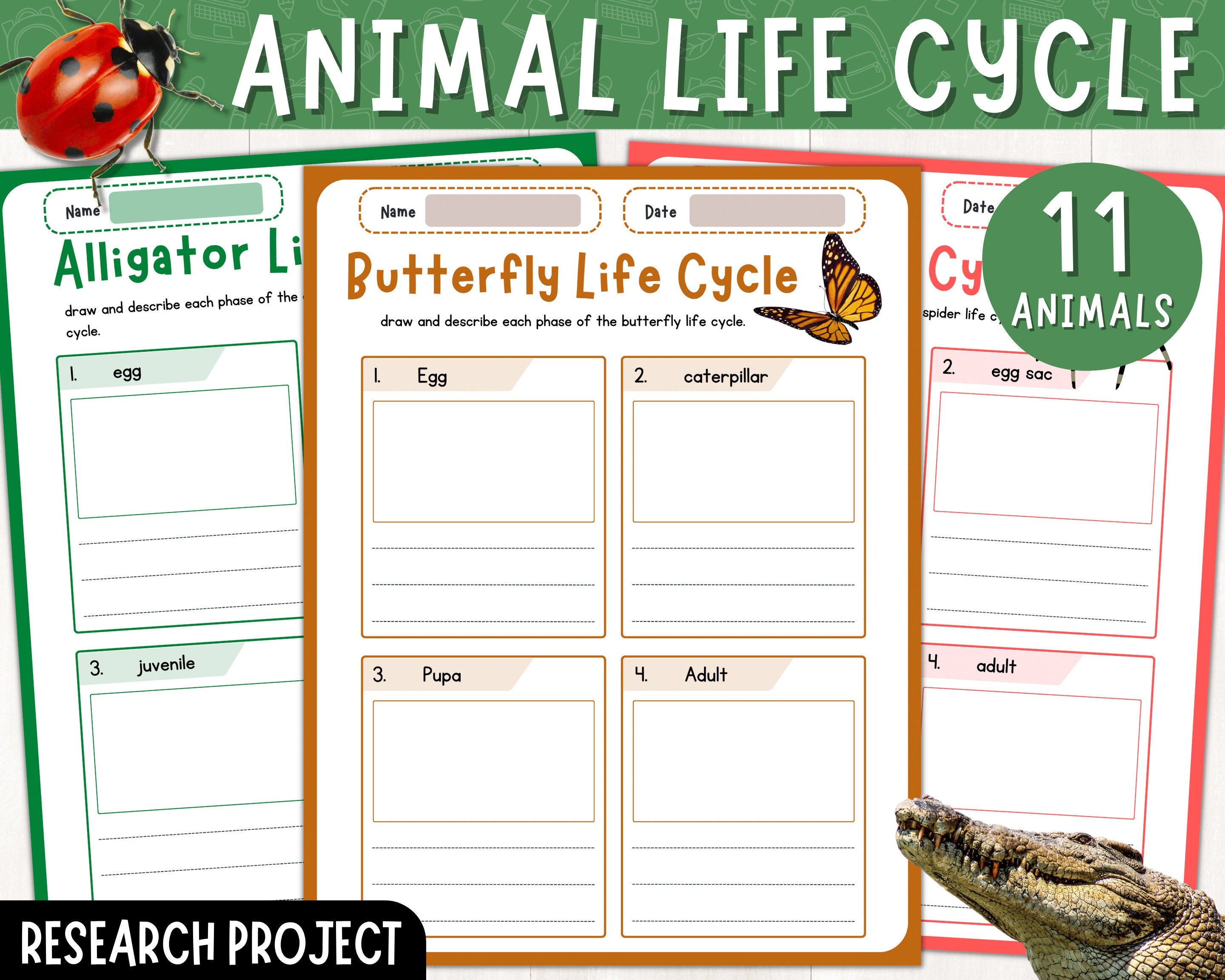 Printable Animal Life Cycle Research Project Templates, Animal Research ...