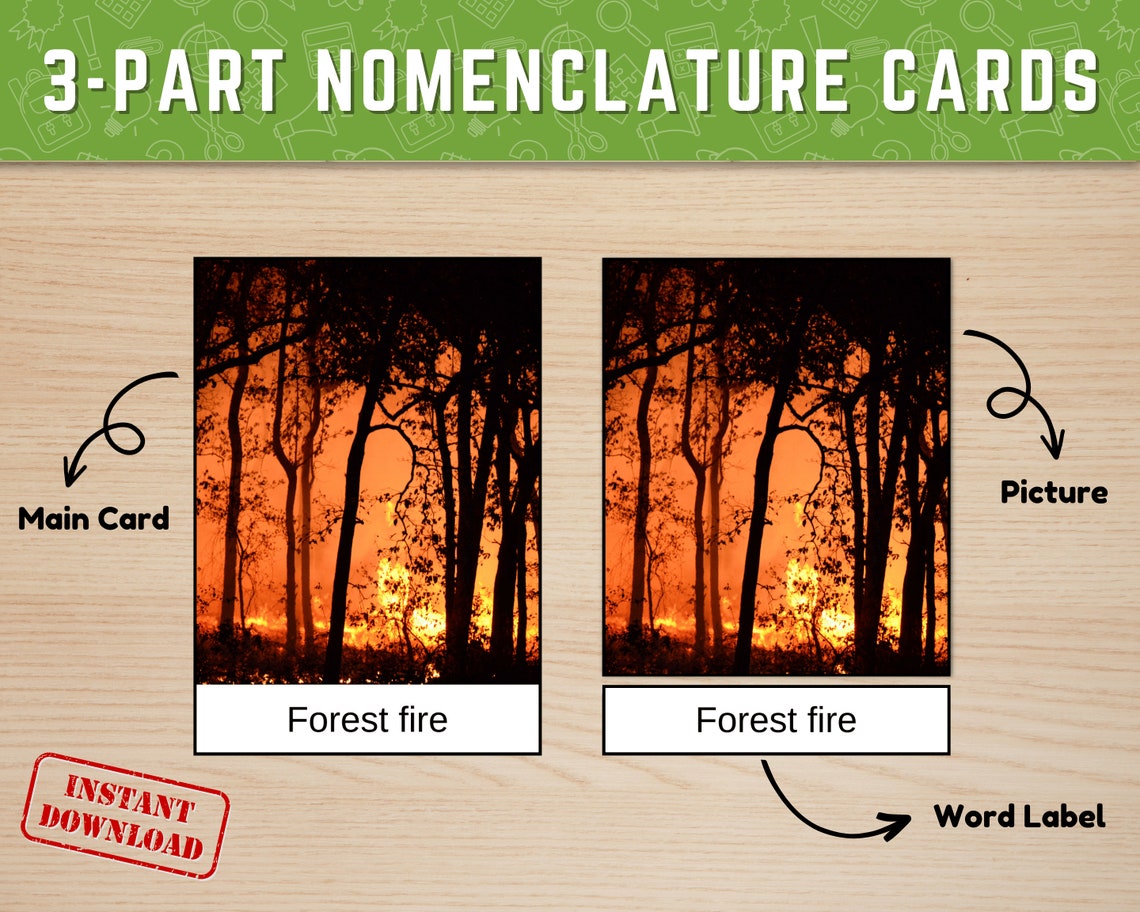 Printable Natural Disasters Flashcards, Types of Natural Disasters ...