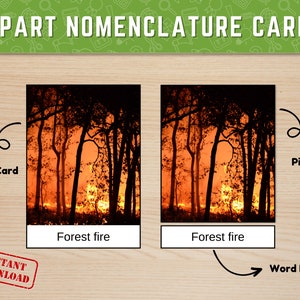 Printable Natural Disasters Flashcards, Types of Natural Disasters ...