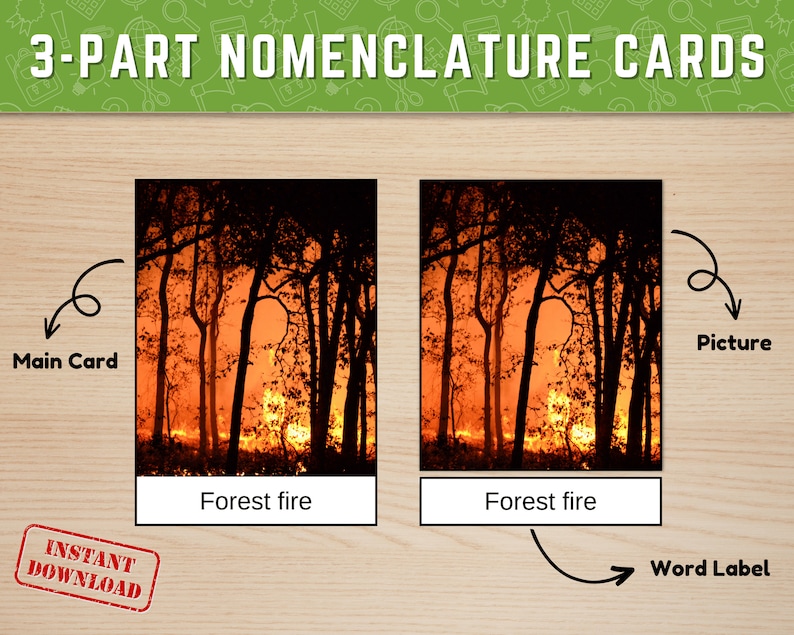 Printable Natural Disasters Flashcards, Types of Natural Disasters ...