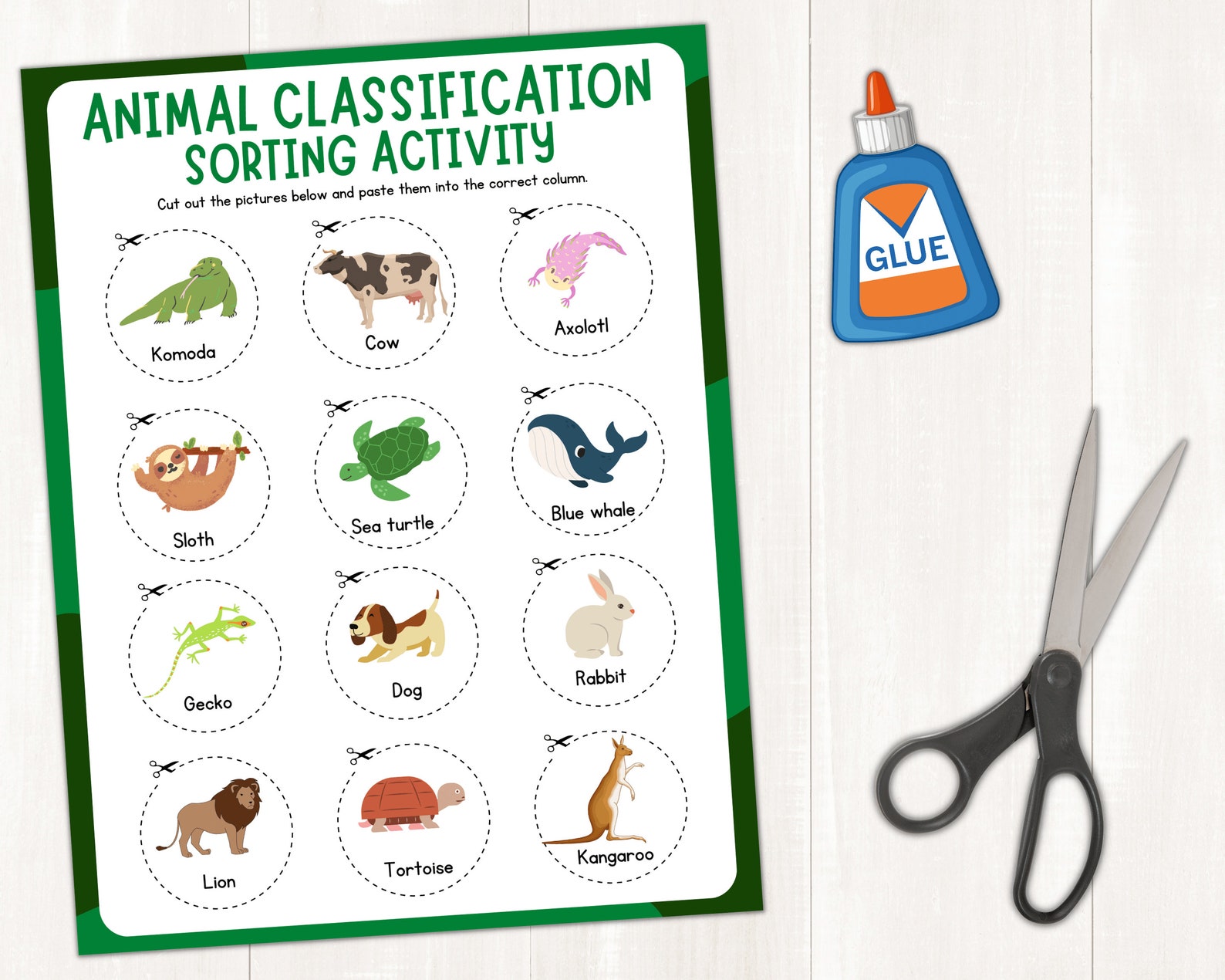 Animal Classification Sort: Mammals, Reptiles, and Amphibians | Sort ...