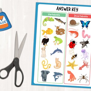 Vertebrates and Invertebrates Sorting Activity | Animal Classification ...
