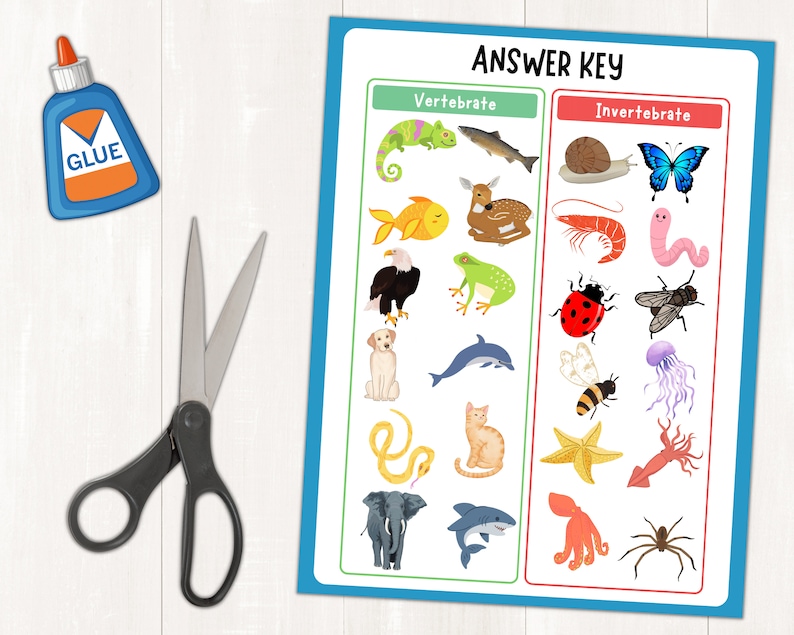 Vertebrates and Invertebrates Sorting Activity | Animal Classification ...