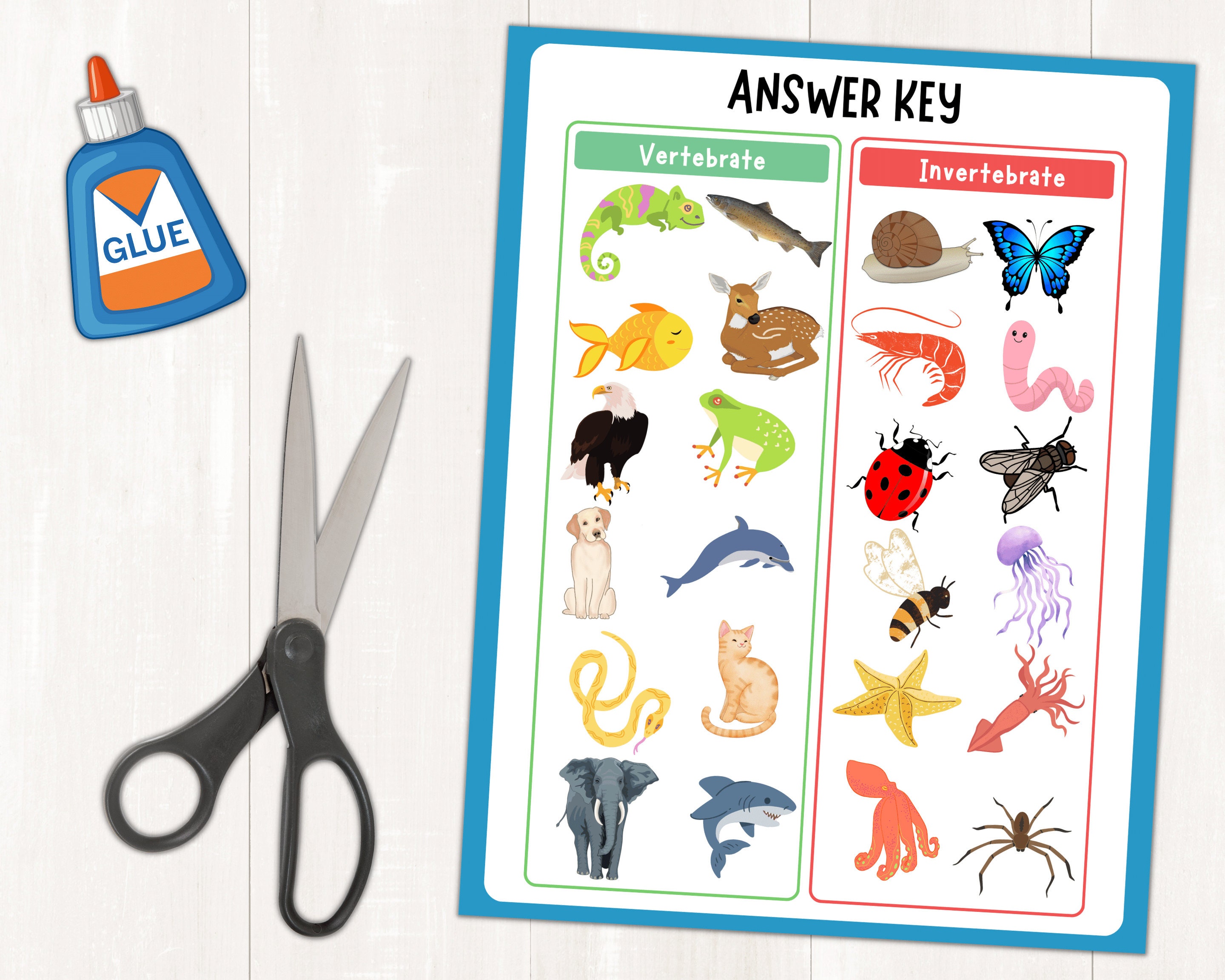Vertebrates and Invertebrates Sorting Activity | Animal Classification ...