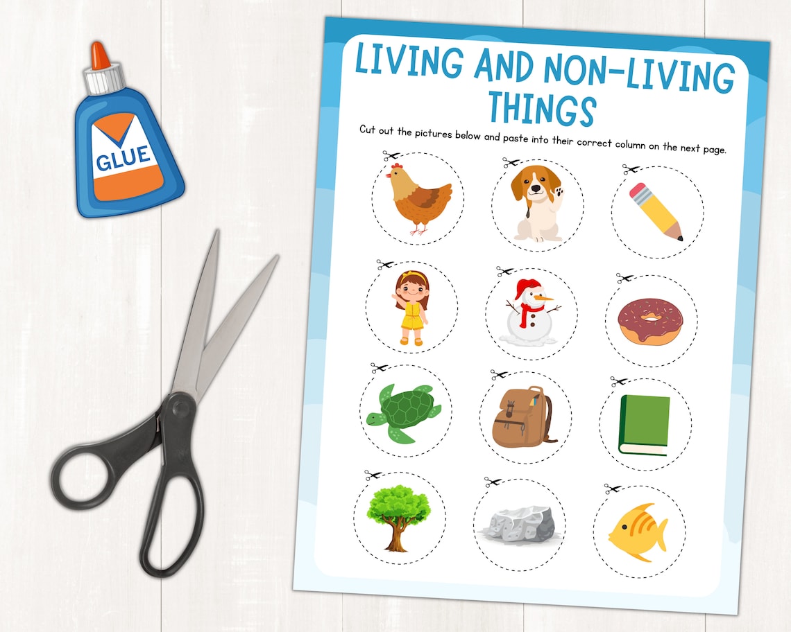Living and Non-living Things Sorting Activity, Identifying Living and ...