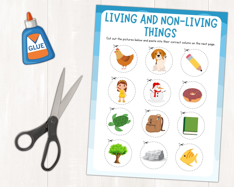 Living and Non-living Things Sorting Activity, Identifying Living and ...