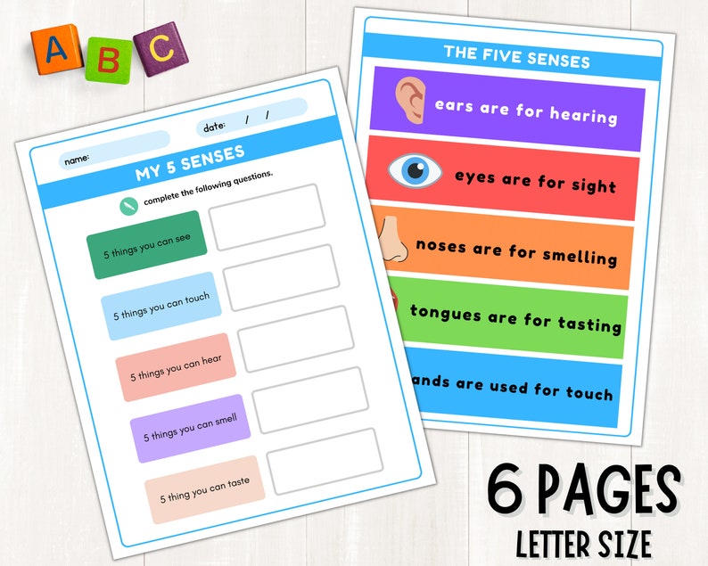 Printable Five Senses Worksheets for Preschool, Kindergarten Five ...