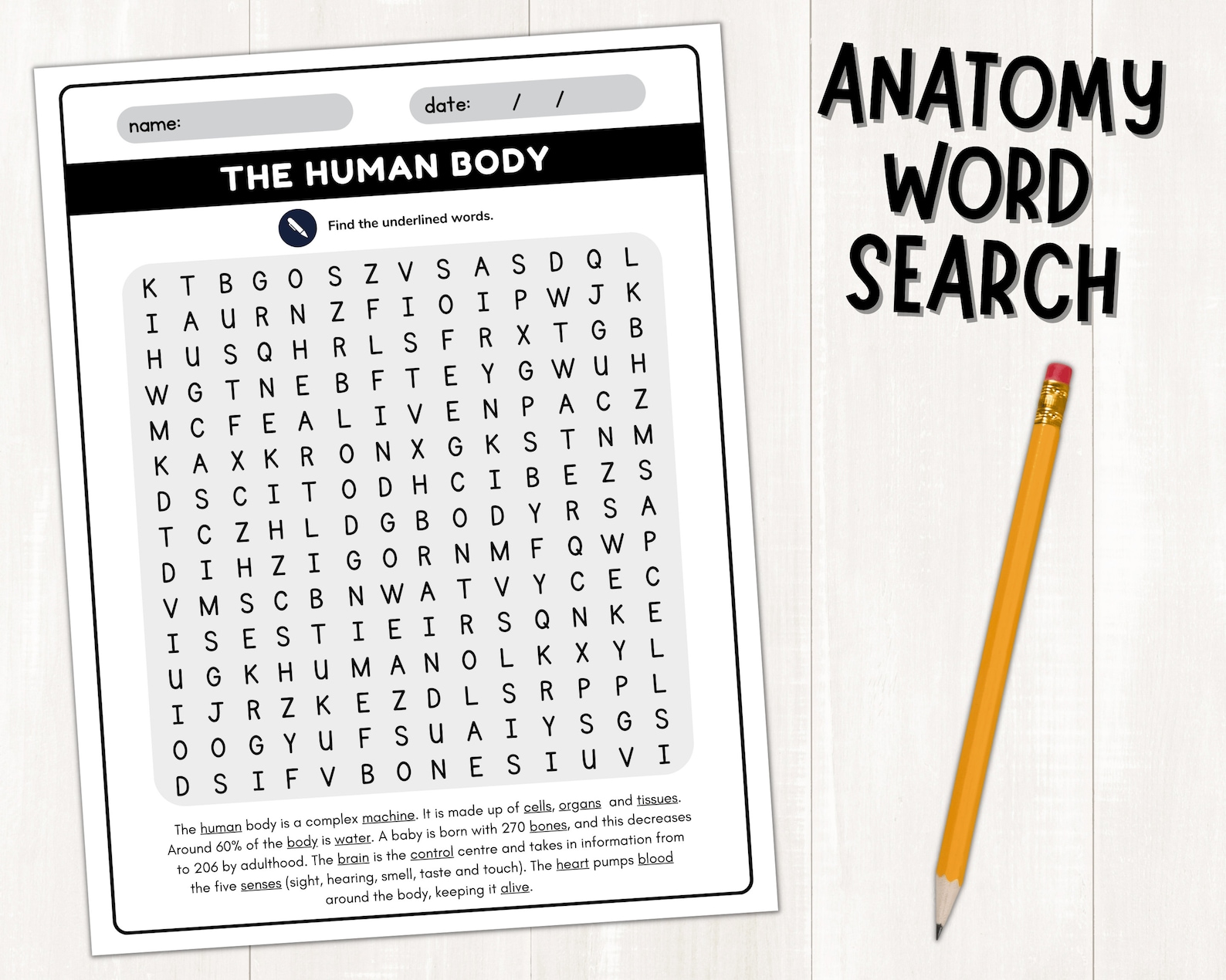 Printable Human Skeleton Labelling Worksheets | Label the Bones ...