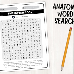 Printable Human Skeleton Labelling Worksheets | Label the Bones ...