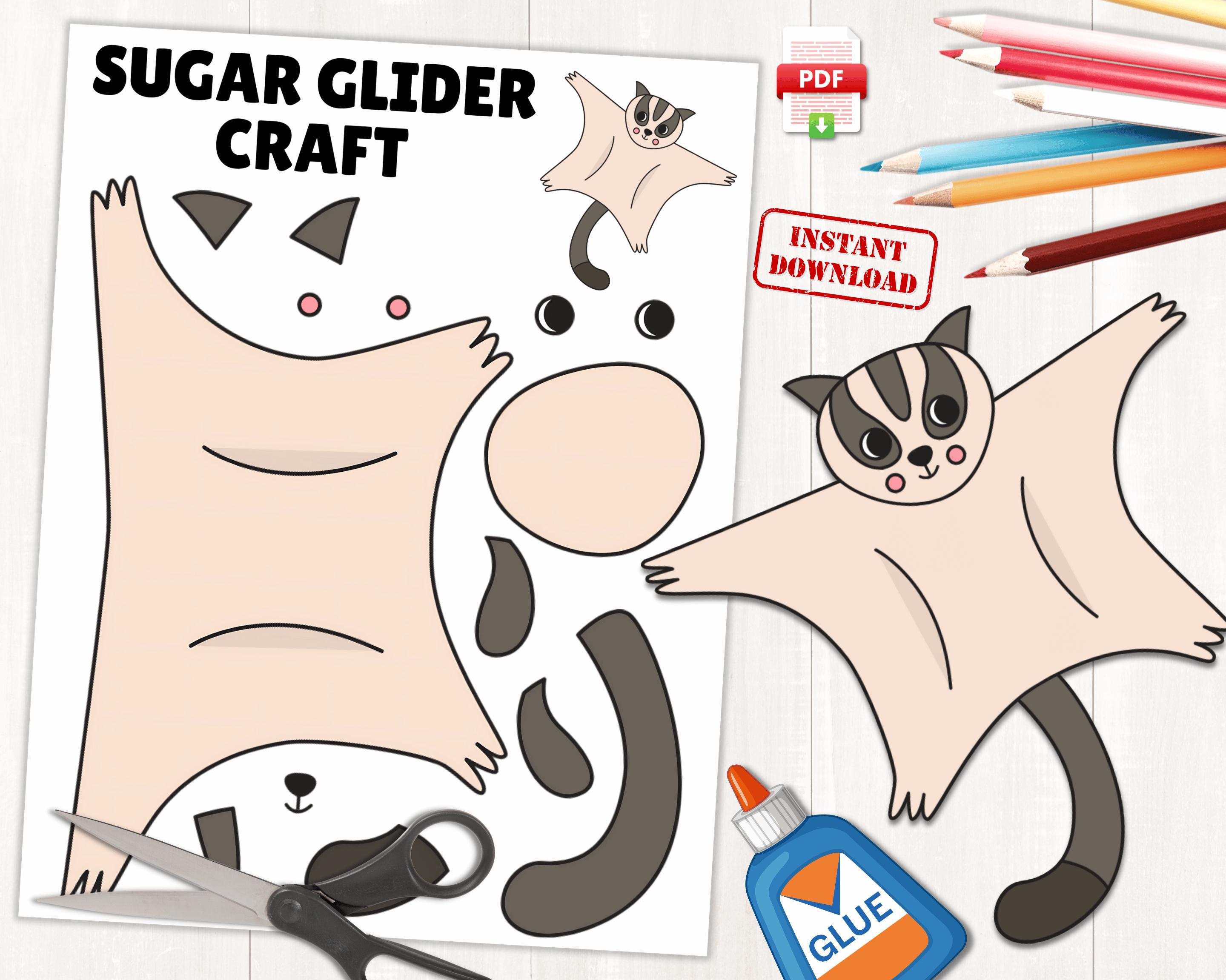 Printable Sugar Glider Craft for Kids | Australian Nocturnal Animal ...