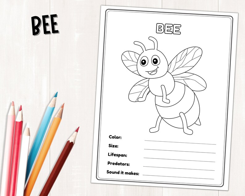 Printable Insects Coloring Pages for Kids, Insects Research Activity ...