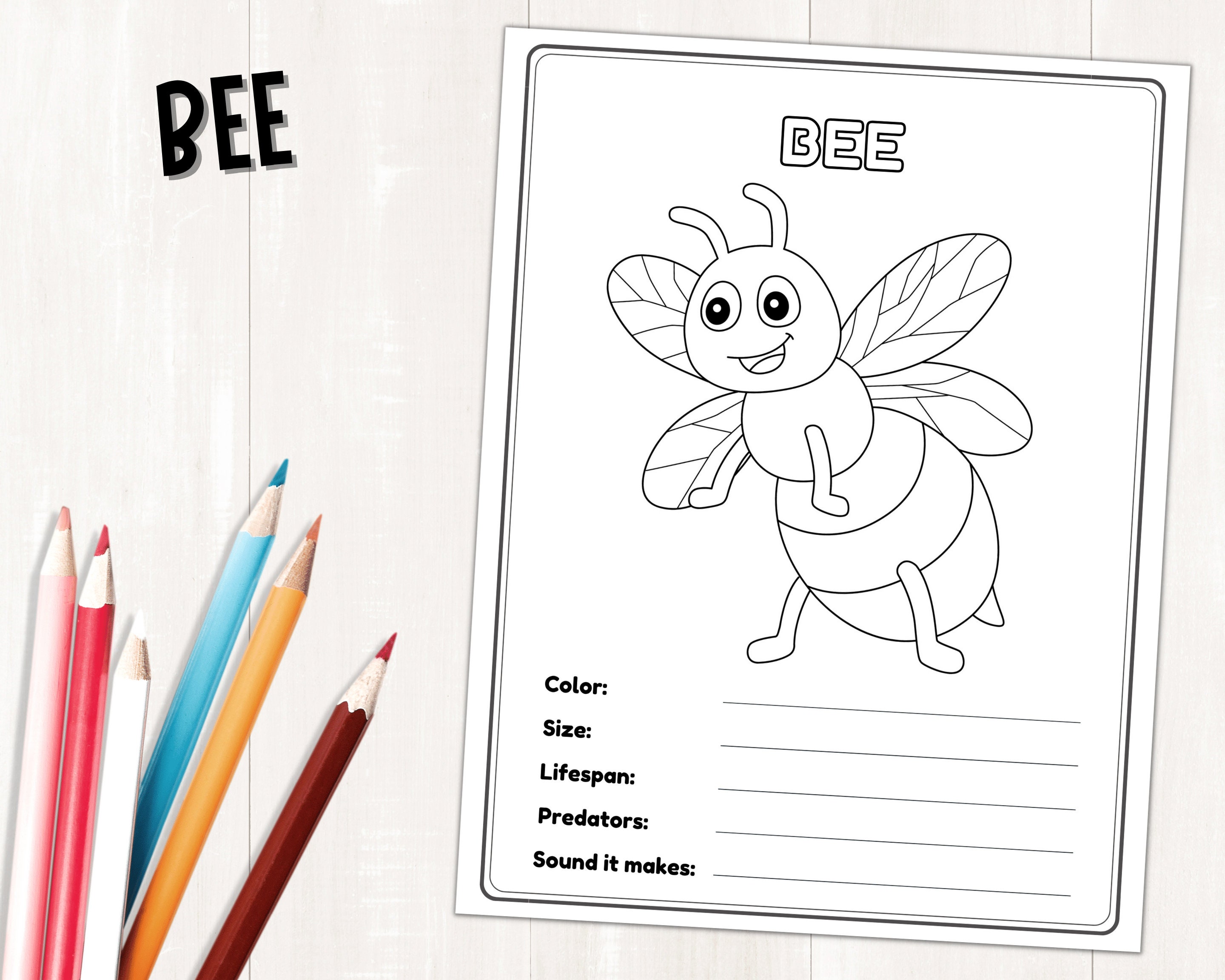 Printable Insects Coloring Pages for Kids, Insects Research Activity ...
